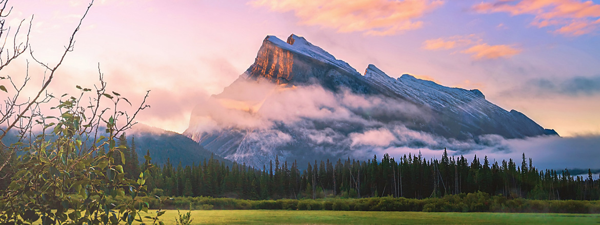 Website Accessibility | Sprott ETFs